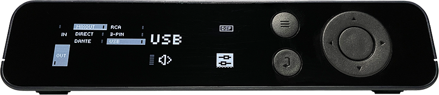 What can I do on the Hub DSP Receiver screen?